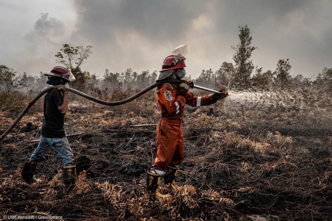 Potret Perjuangan Pemadam Kebakaran di Hutan Kalimantan dan Sumatera