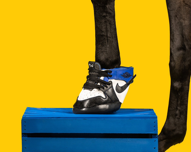 Unik! Ada Sneaker Khusus Kuda, Harganya Rp 31 Jutaan